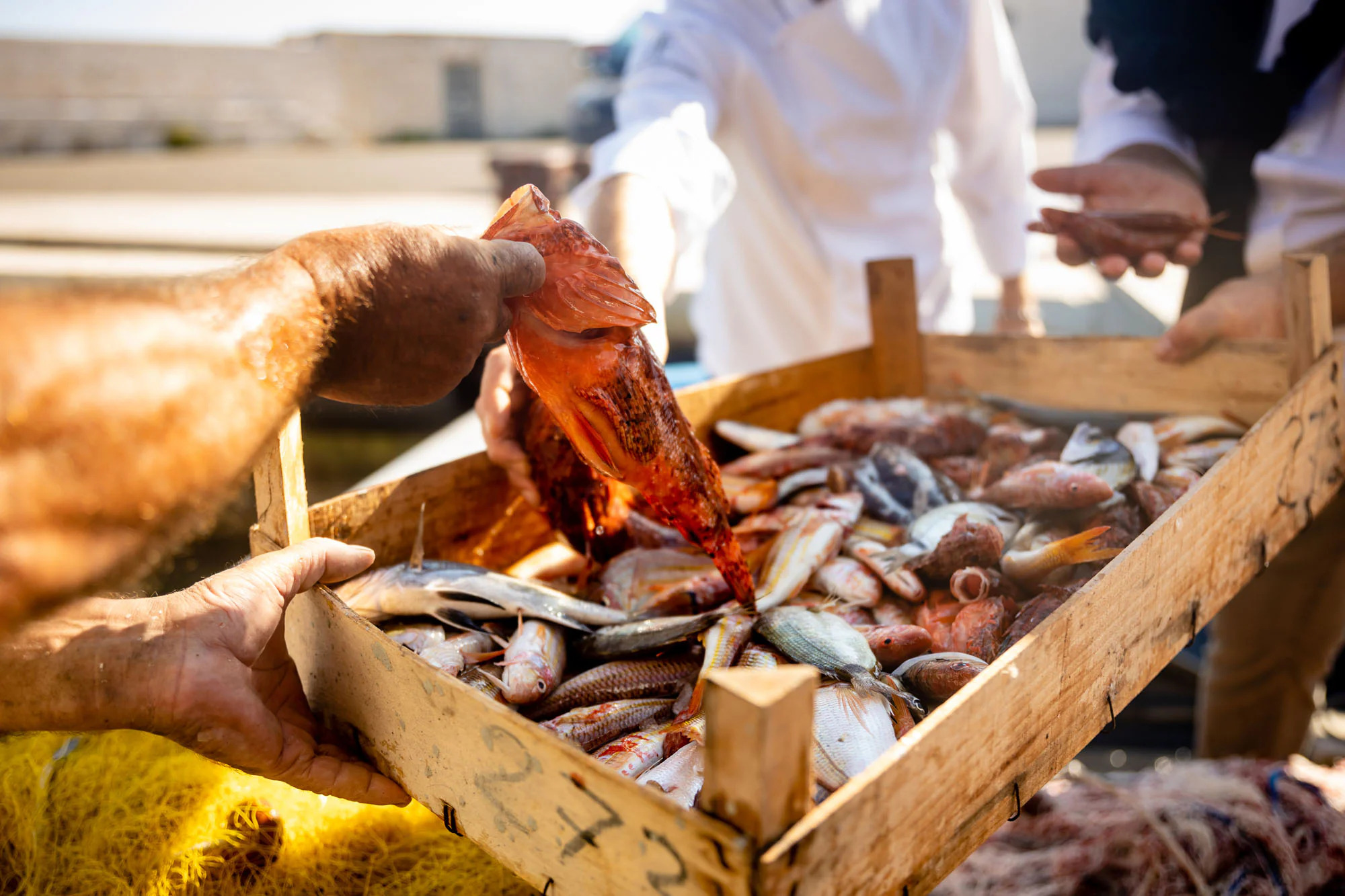 Rocco Forte’s Culinary Secrets of Italy